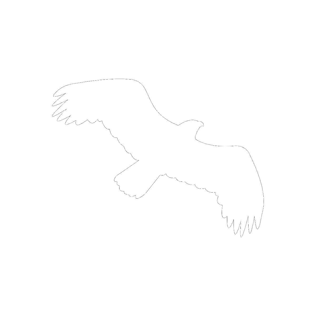 The Windhover Poem Summary and Analysis | LitCharts