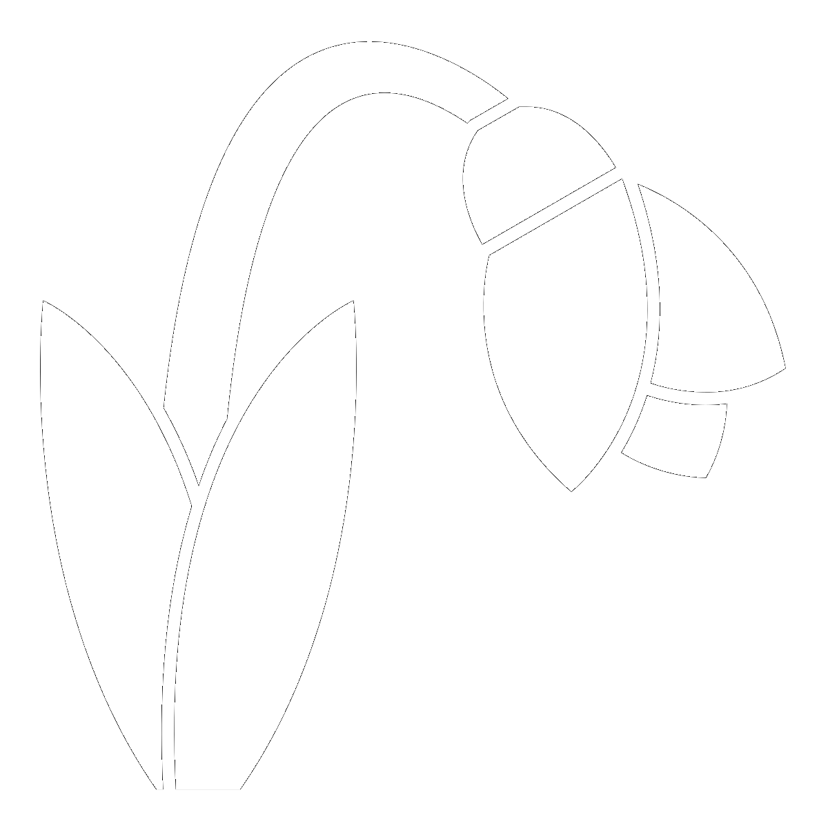 Snowdrop Poem Summary and Analysis | LitCharts